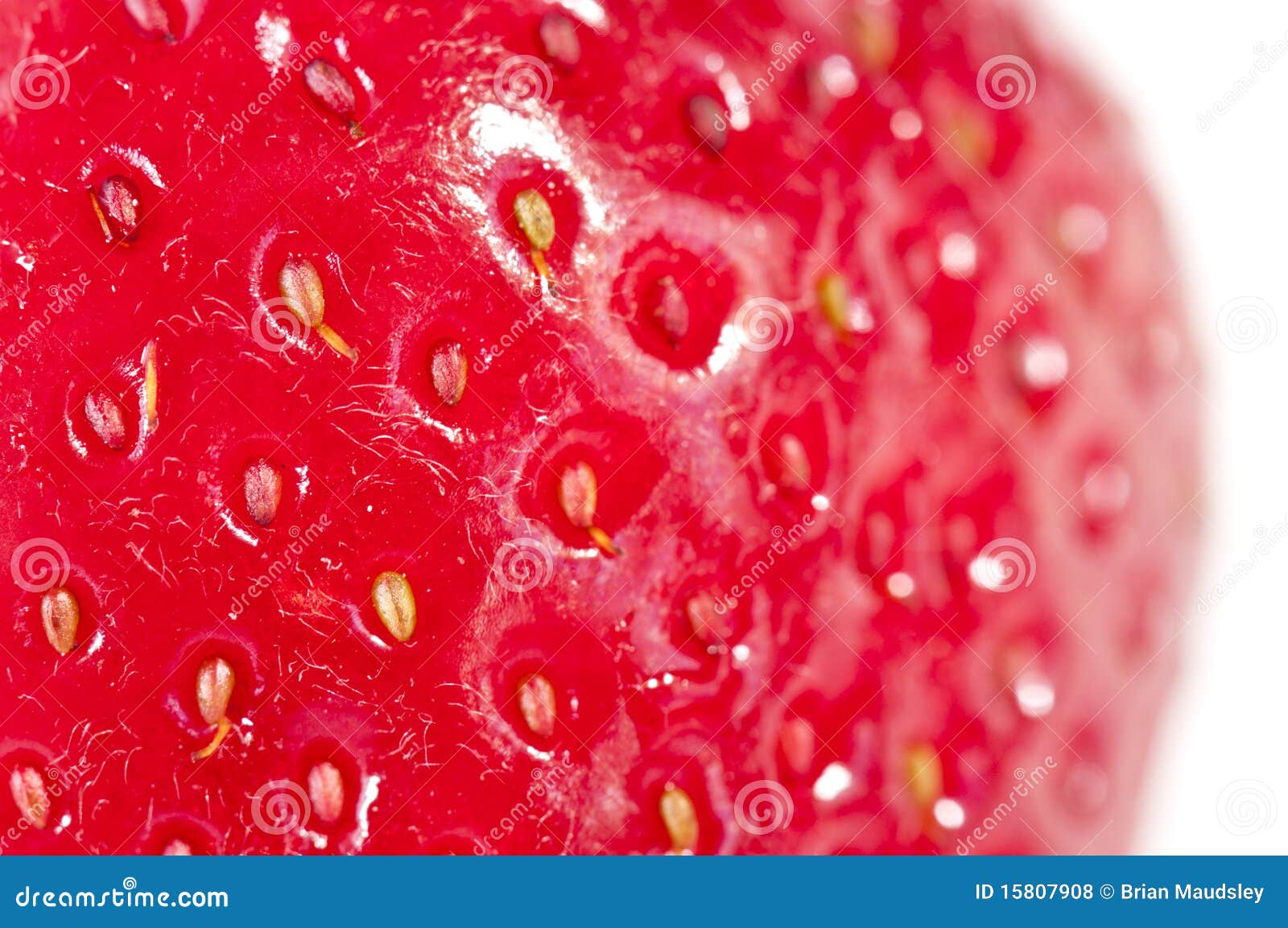 Delicious Single Strawberry on White. Stock Photo - Image of nutritious ...