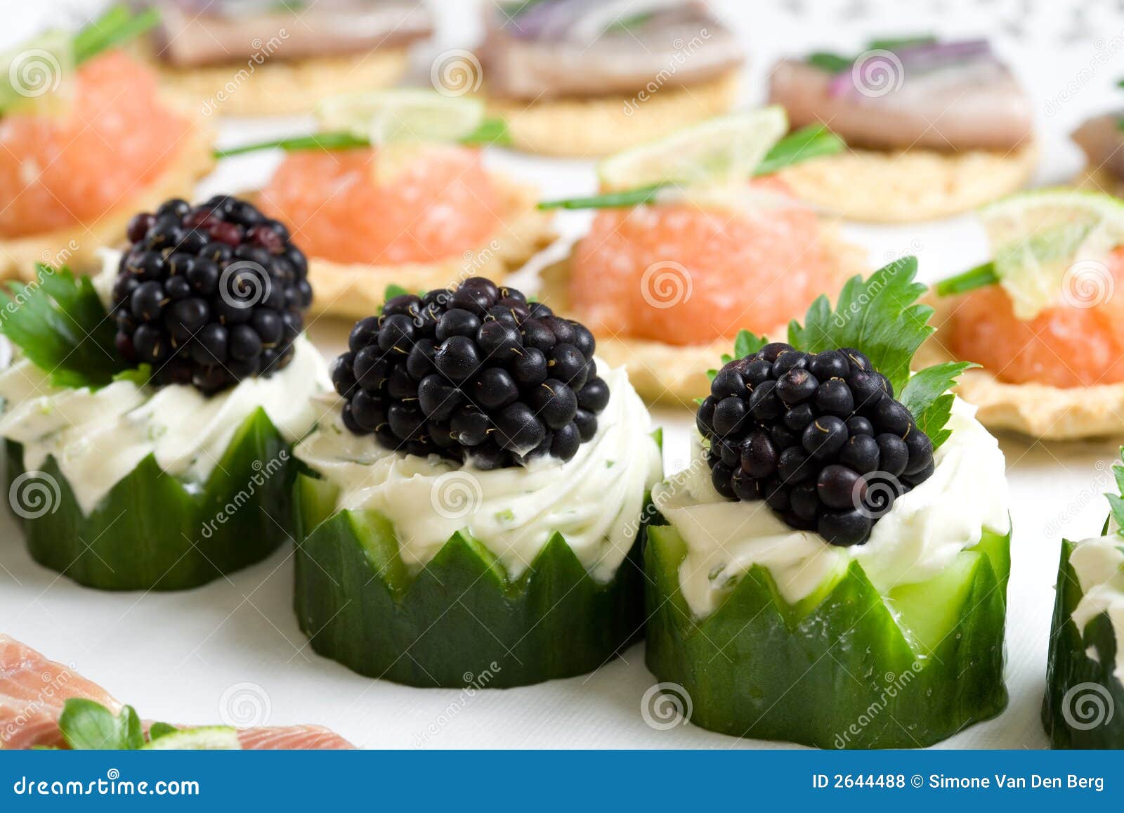 Delicious snacks stock photo. Image of appetizer, salmon - 2644488