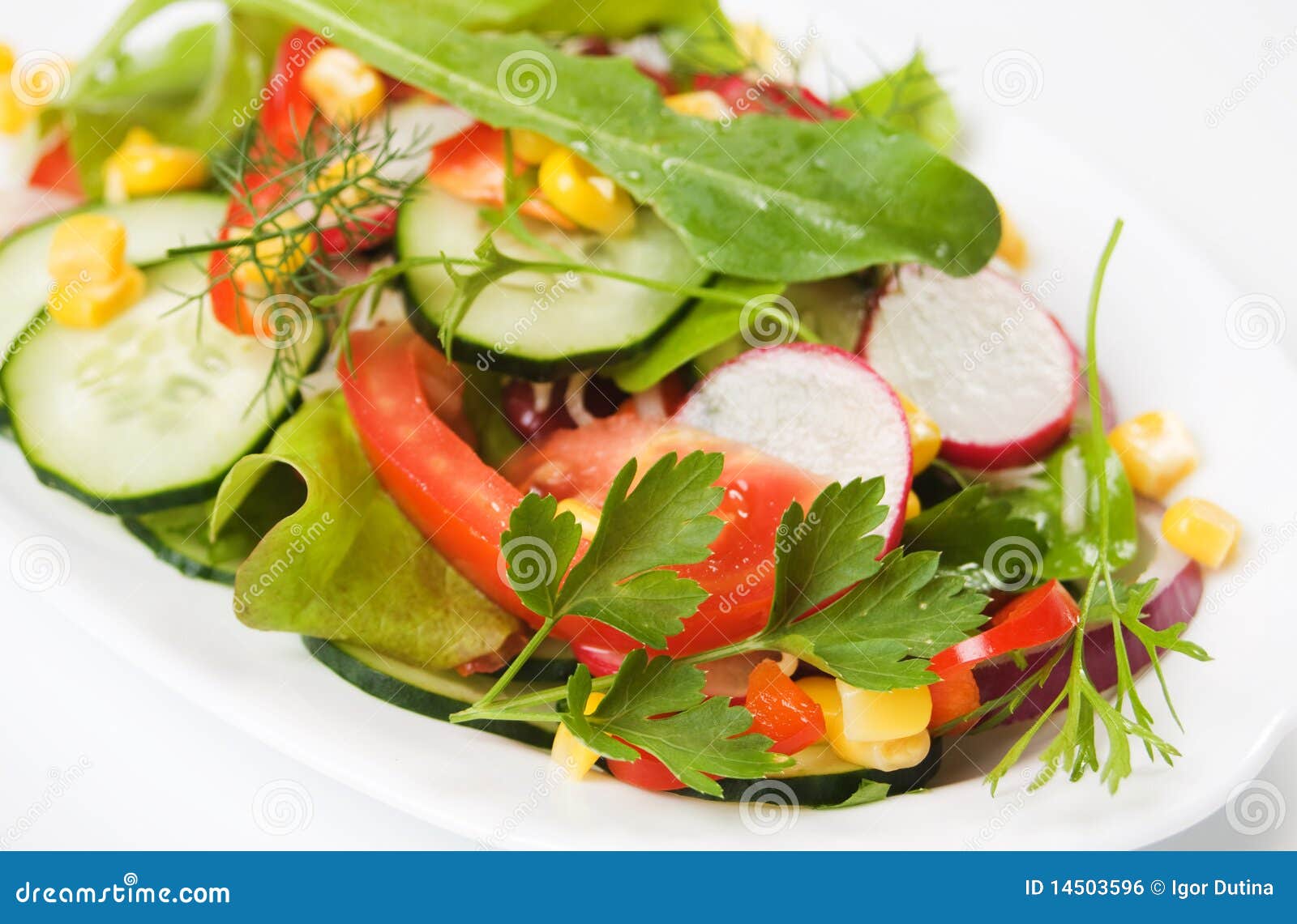 Delicious spring salad stock photo. Image of salad, vegan - 14503596