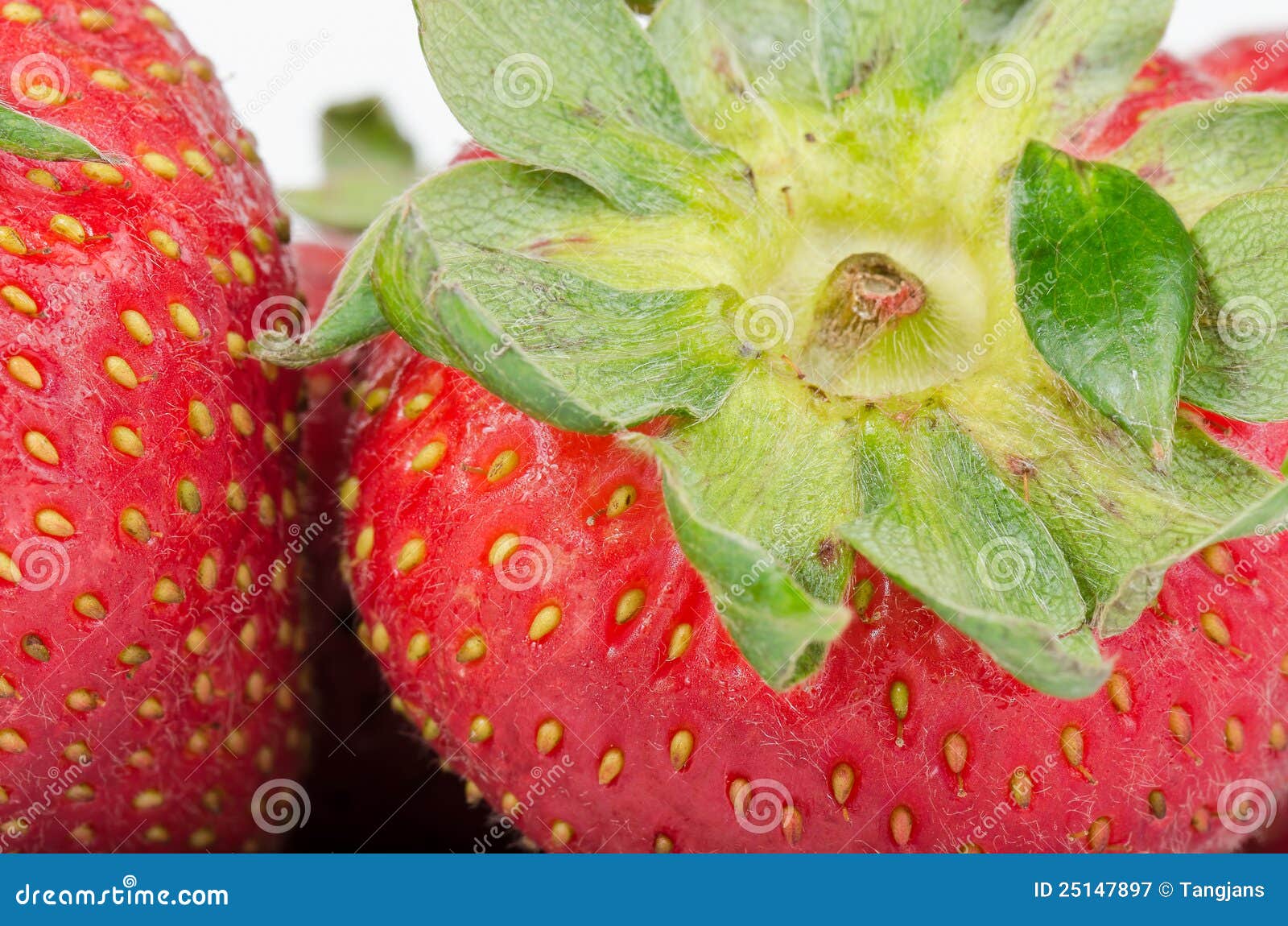 Delicious strawberries stock image. Image of closeup - 25147897