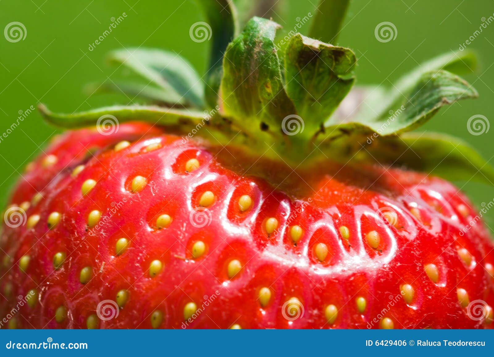Delicious strawberry stock photo. Image of botany, diet - 6429406