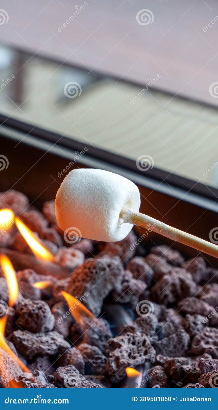 Delicious and Sweet Marshmallows on Stick Over the Firepit. Summer ...