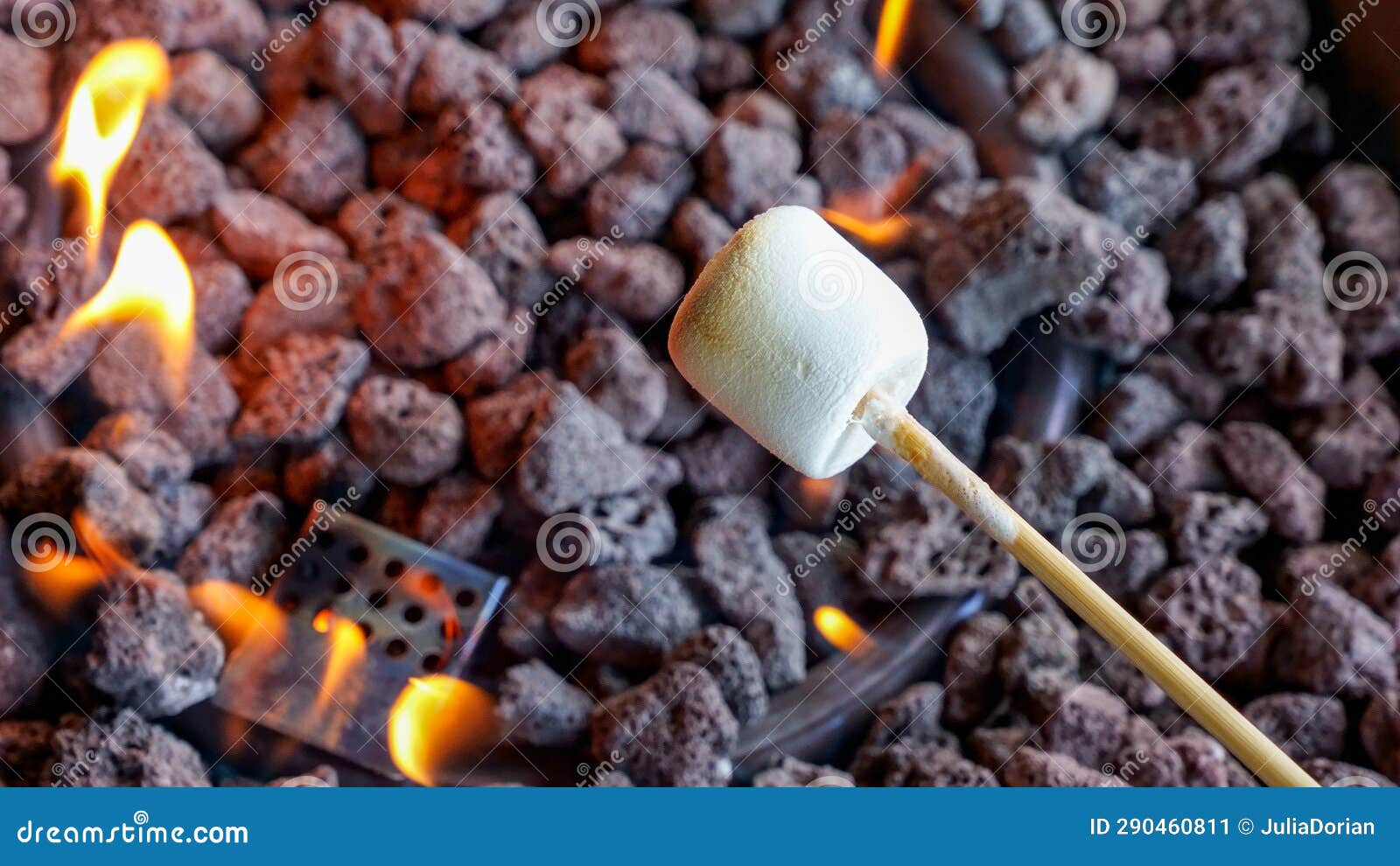Delicious and Sweet Marshmallows on Stick Over the Firepit. Summer ...