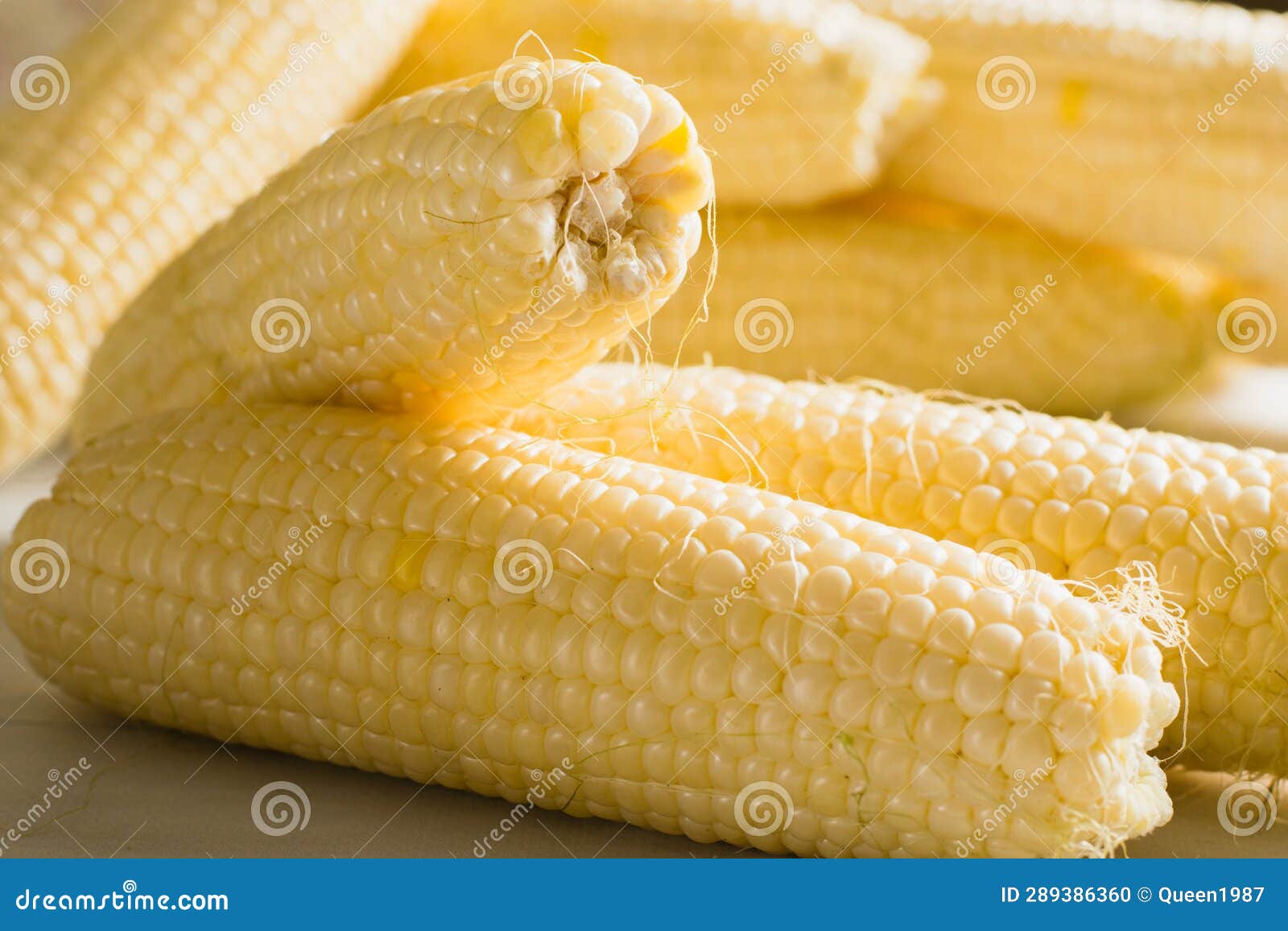 Delicious, Sweet White Corn on a Light Table Close-up Stock Photo ...