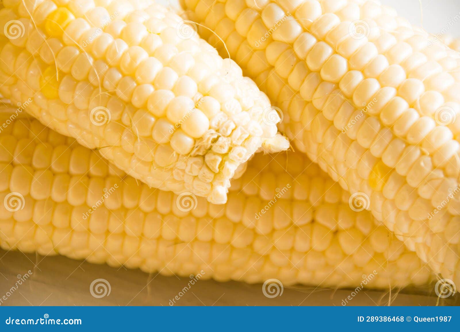 Delicious, Sweet White Corn on a Light Table Close-up Stock Photo ...