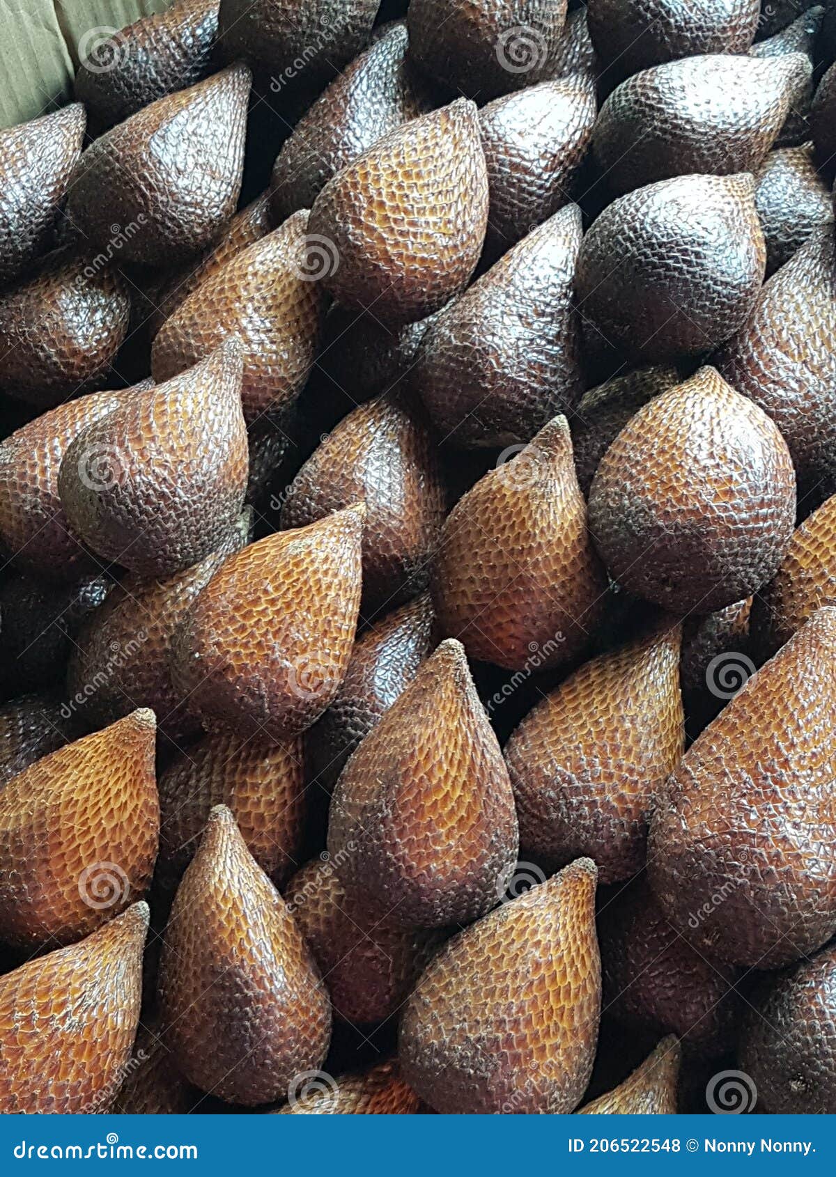 Delicious Taste of Salak Fruit Stock Photo - Image of vegetable, soil ...