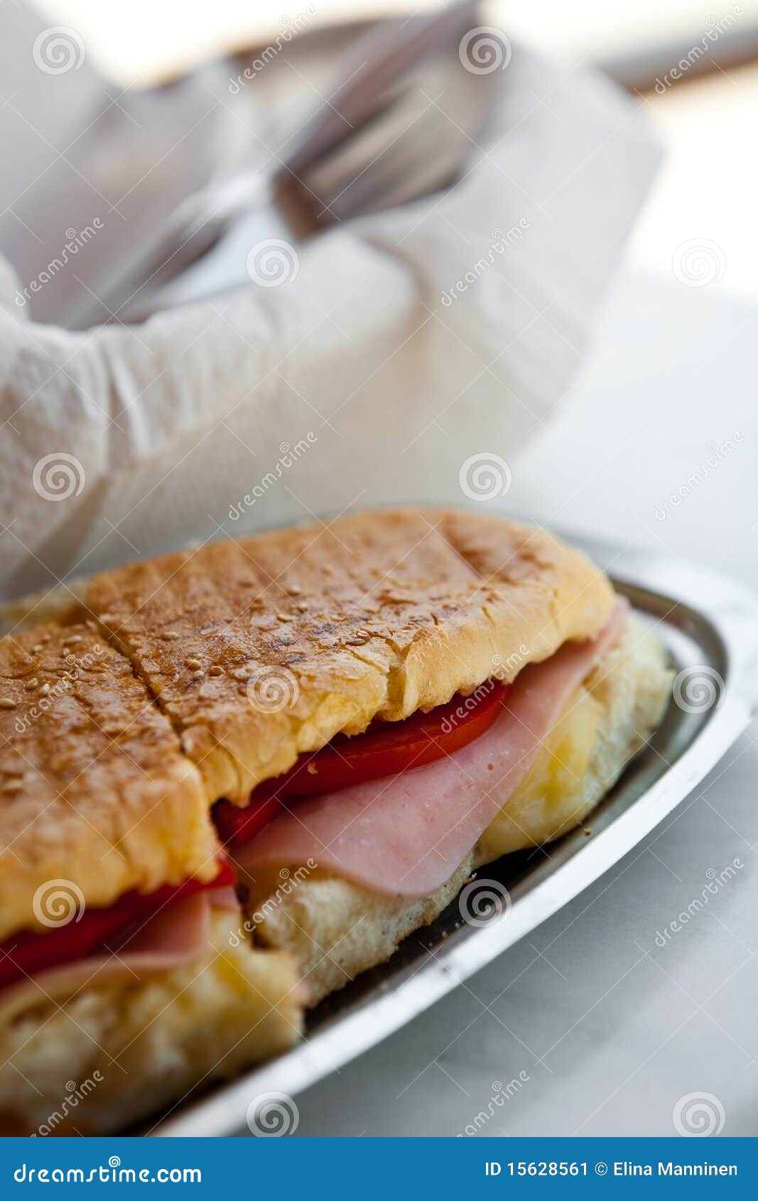 Delicious toasted sandwich stock image. Image of cold - 15628561
