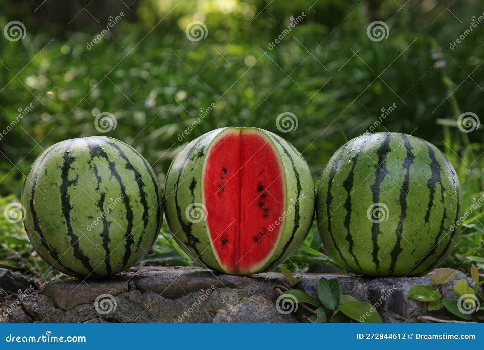 Delicious Whole and Cut Watermelons on Stone Surface Stock Photo ...