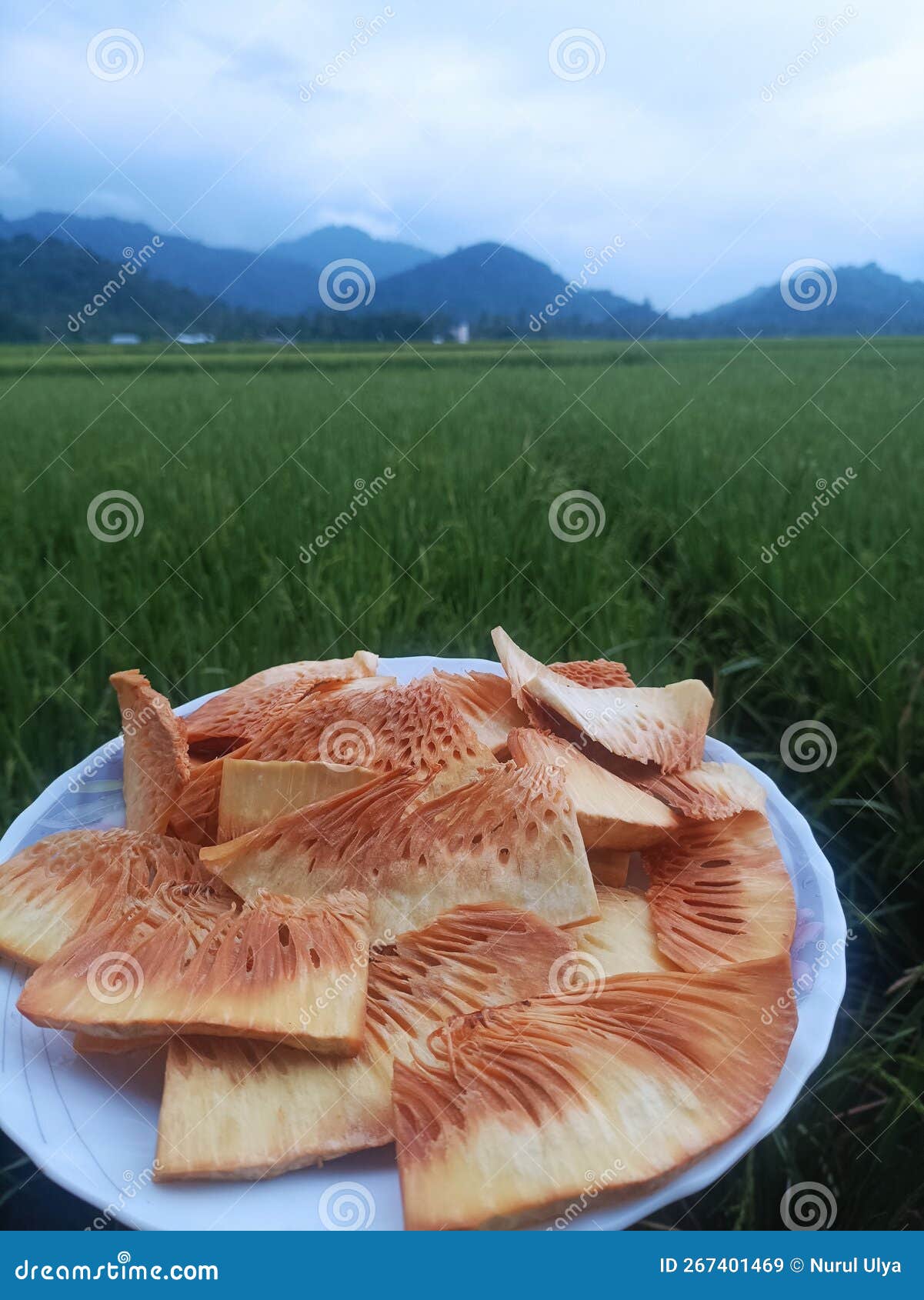 Deliciuos Fries Breadfruit Stock Photos - Free & Royalty-Free Stock ...