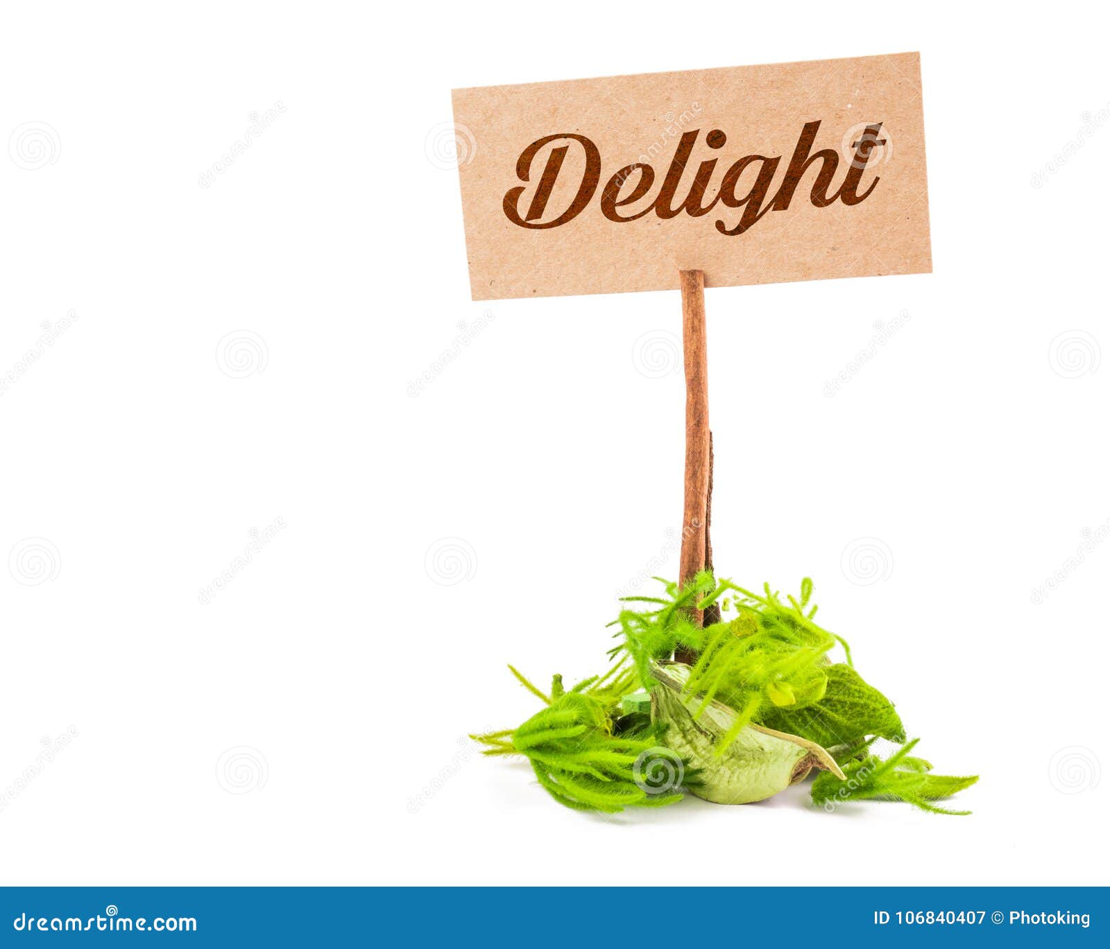 Delight word stock image. Image of premultiplied, symbol - 106840407
