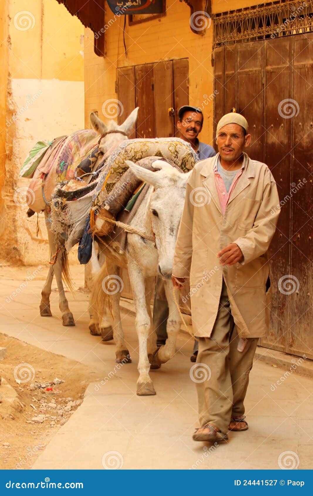 Delivering Goods on a Donkey Editorial Photography - Image of ethnic ...