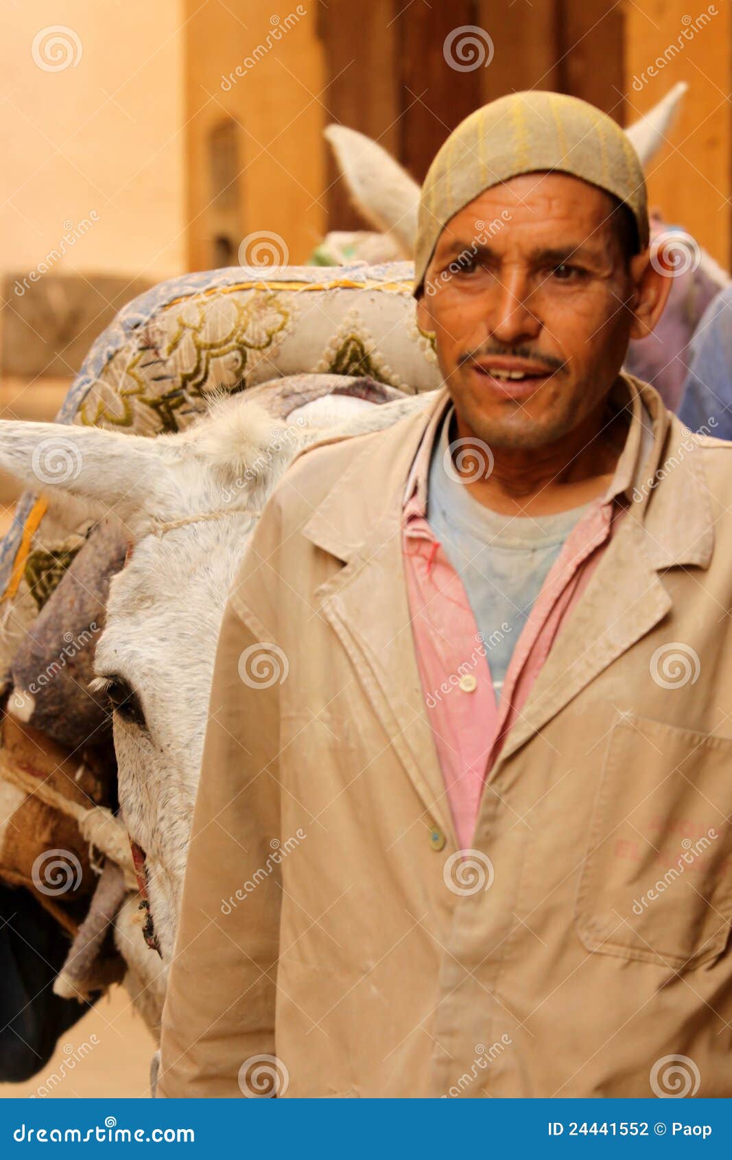 Delivering Goods on a Donkey Editorial Photography - Image of exterior ...
