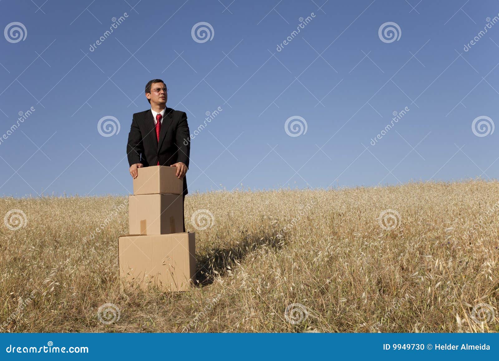 Delivering solutions stock photo. Image of green, grass - 9949730