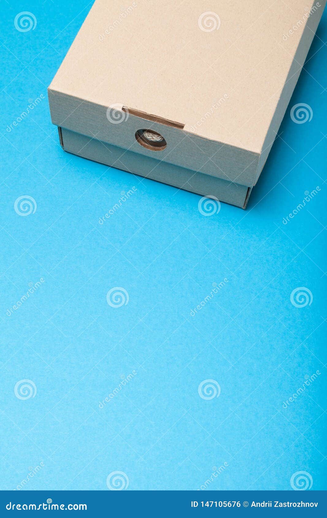 Delivery Box, Courier Shipping. Empty Label, Copy Space for Text Stock ...