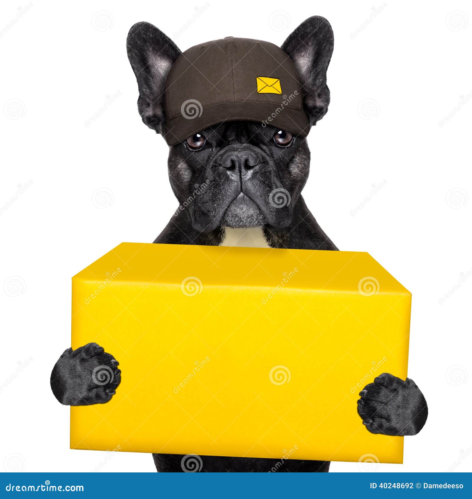 Delivery post dog stock photo. Image of canine, carry - 40248692