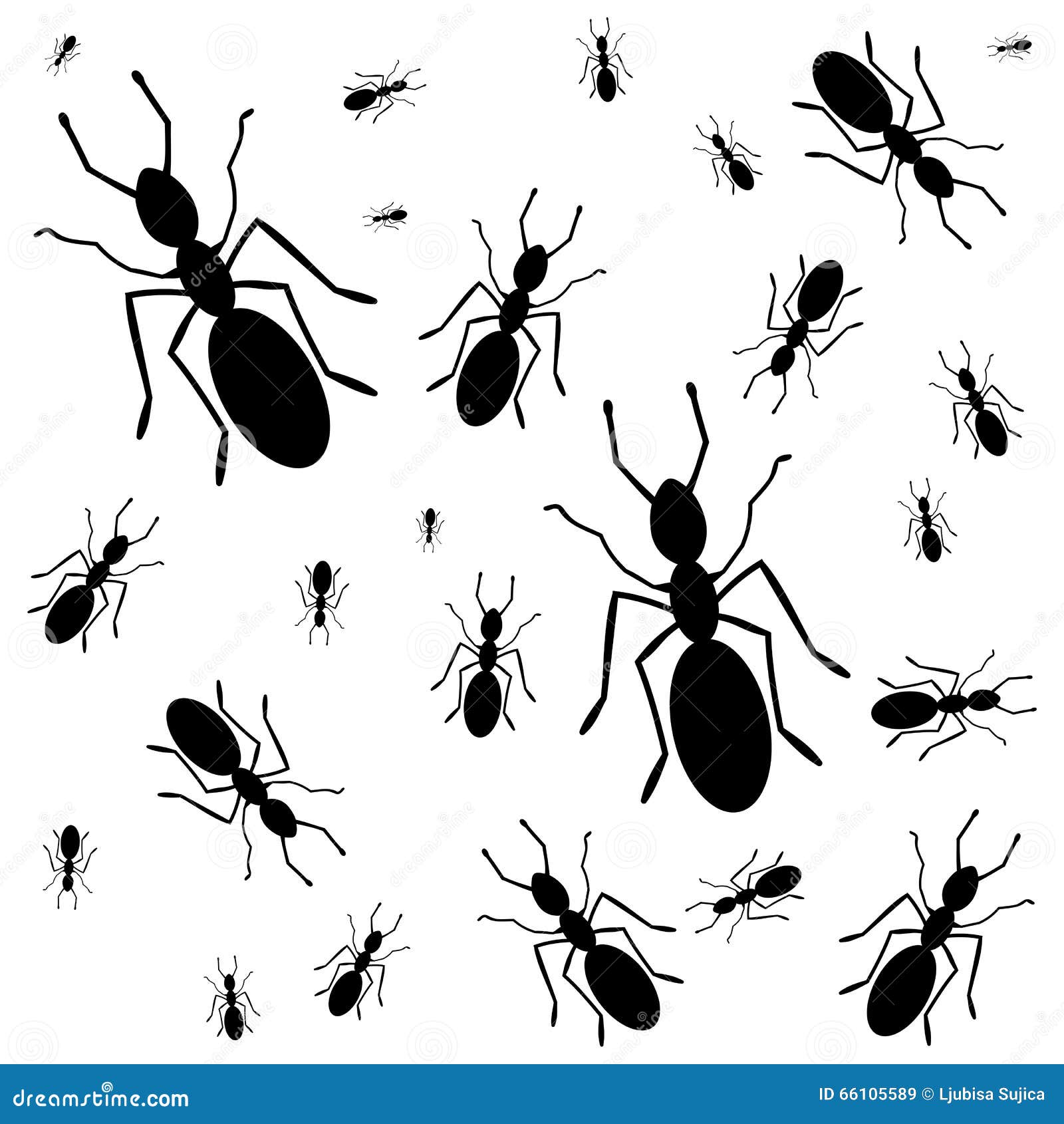 Delle Formiche Illustrazione Dappertutto - Illustrazione Vettoriale ...