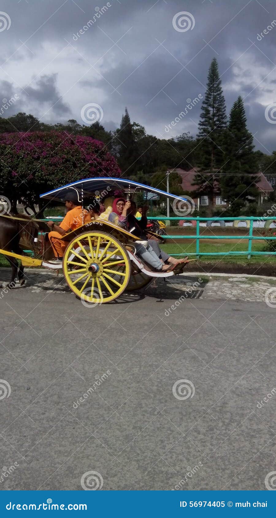 Delman imagen editorial. Imagen de indonesia - 56974405