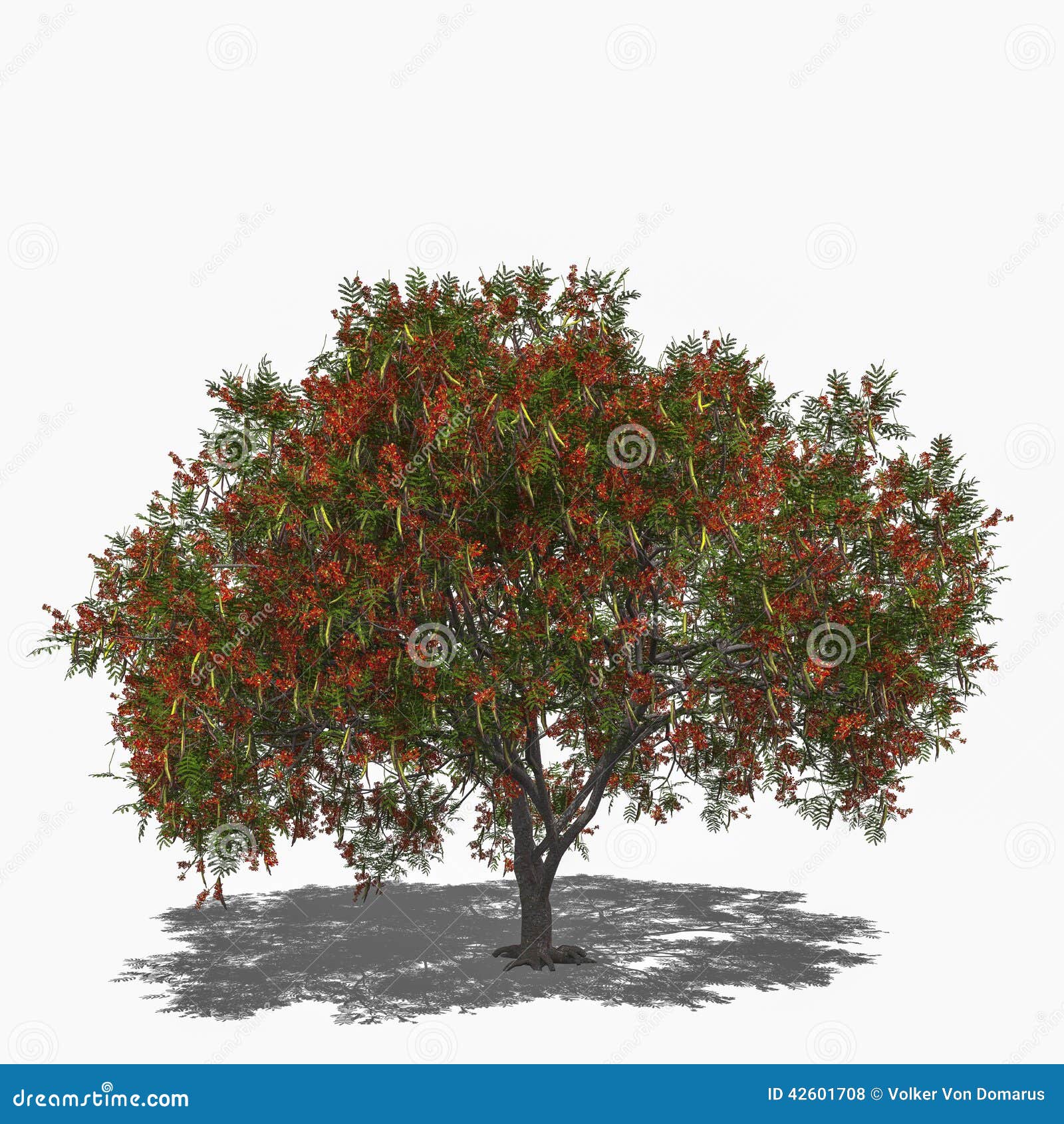 Regia Cartoons, Illustrations & Vector Stock Images - 437 Pictures to ...