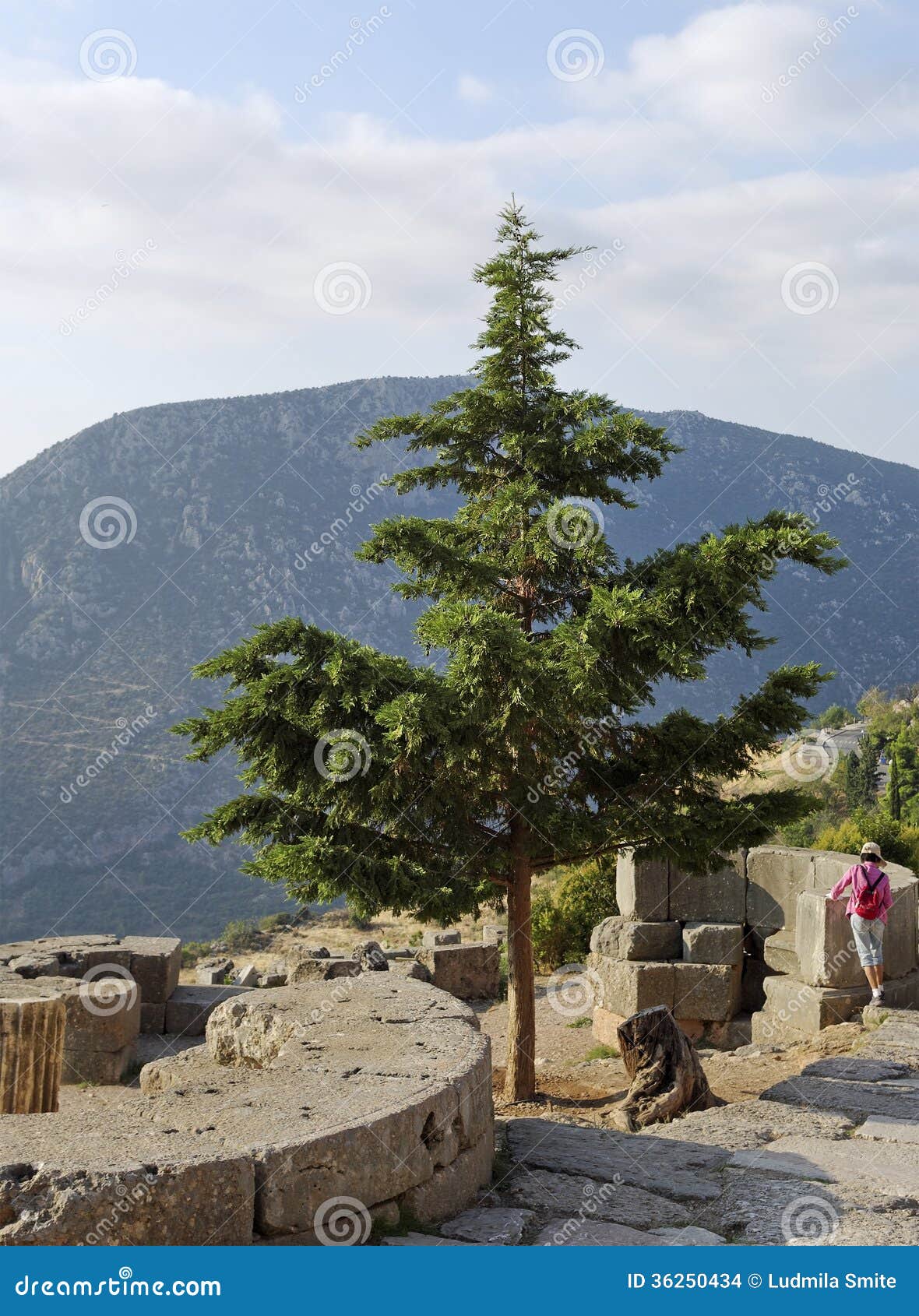 Delphi, Greece. stock photo. Image of heavenly, green - 36250434