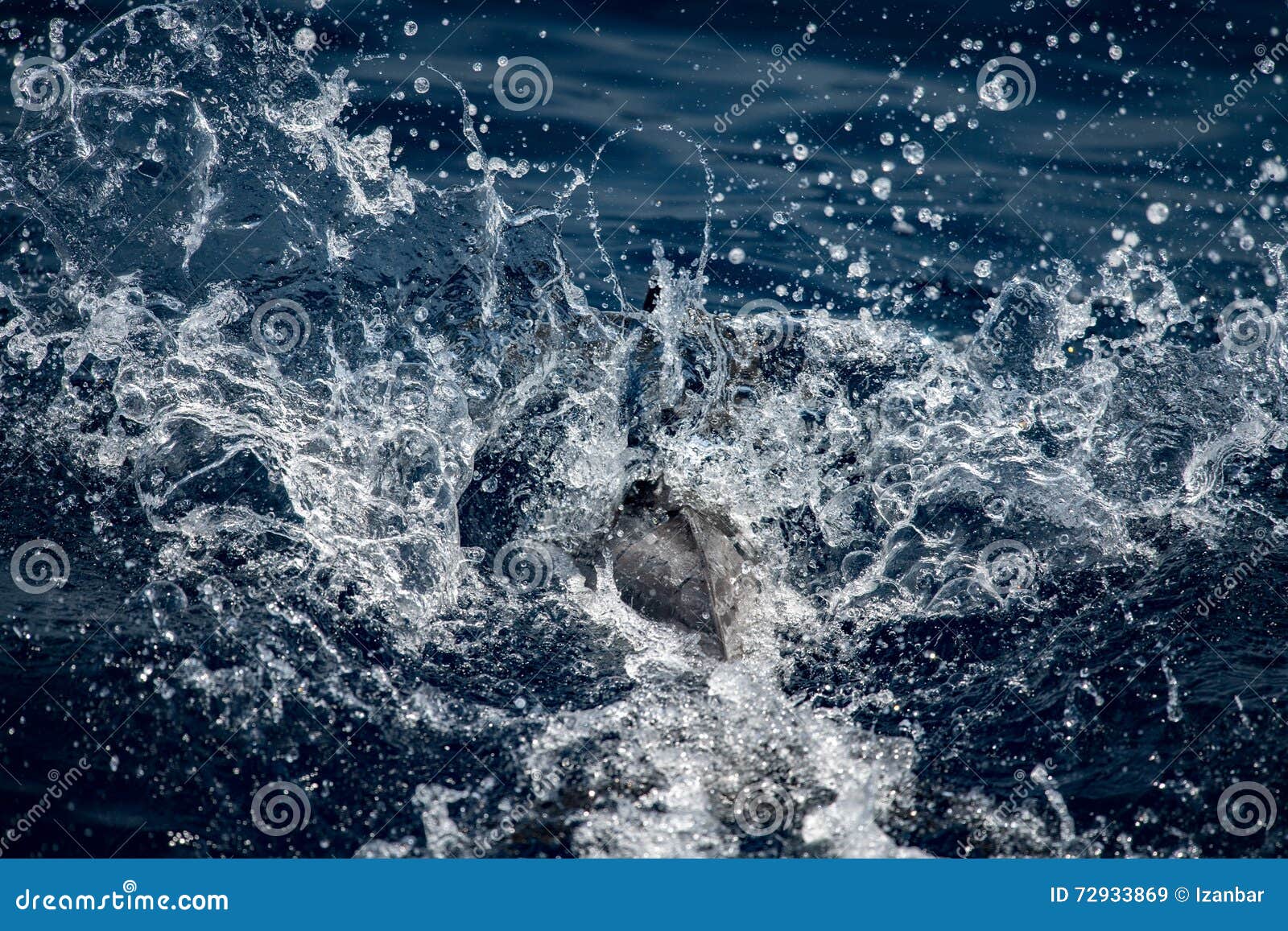 Delphin Beim Springen in Das Tiefe Blaue Meer Stockbild - Bild von ...