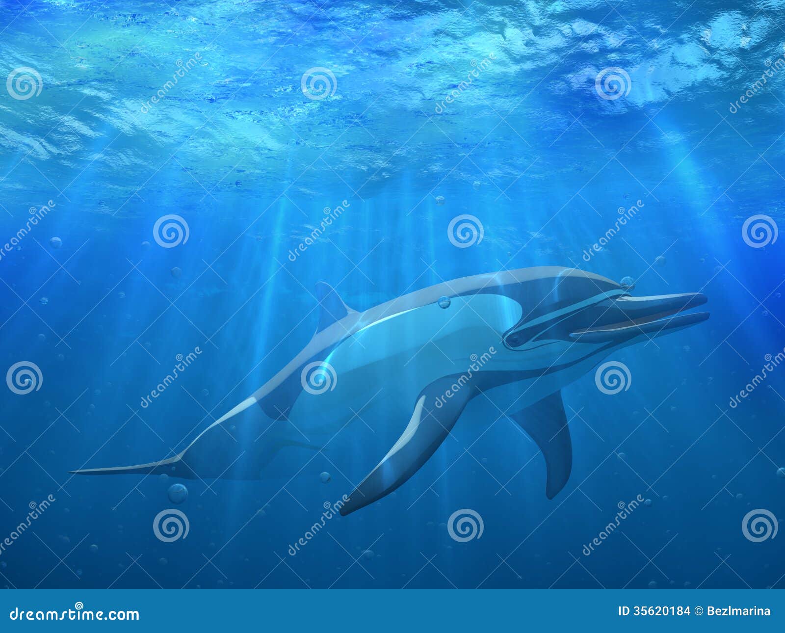 Delphin unter Wasser stock abbildung. Illustration von flosse - 35620184
