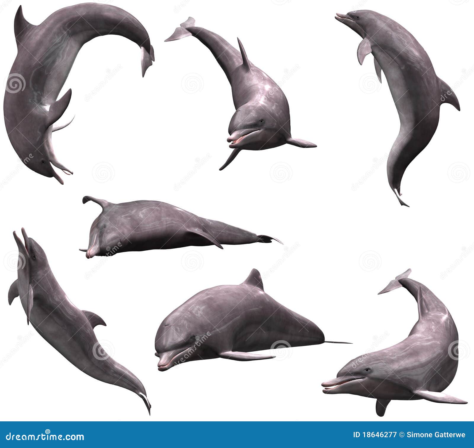 Delphine stock abbildung. Illustration von tümmler, meer - 18646277