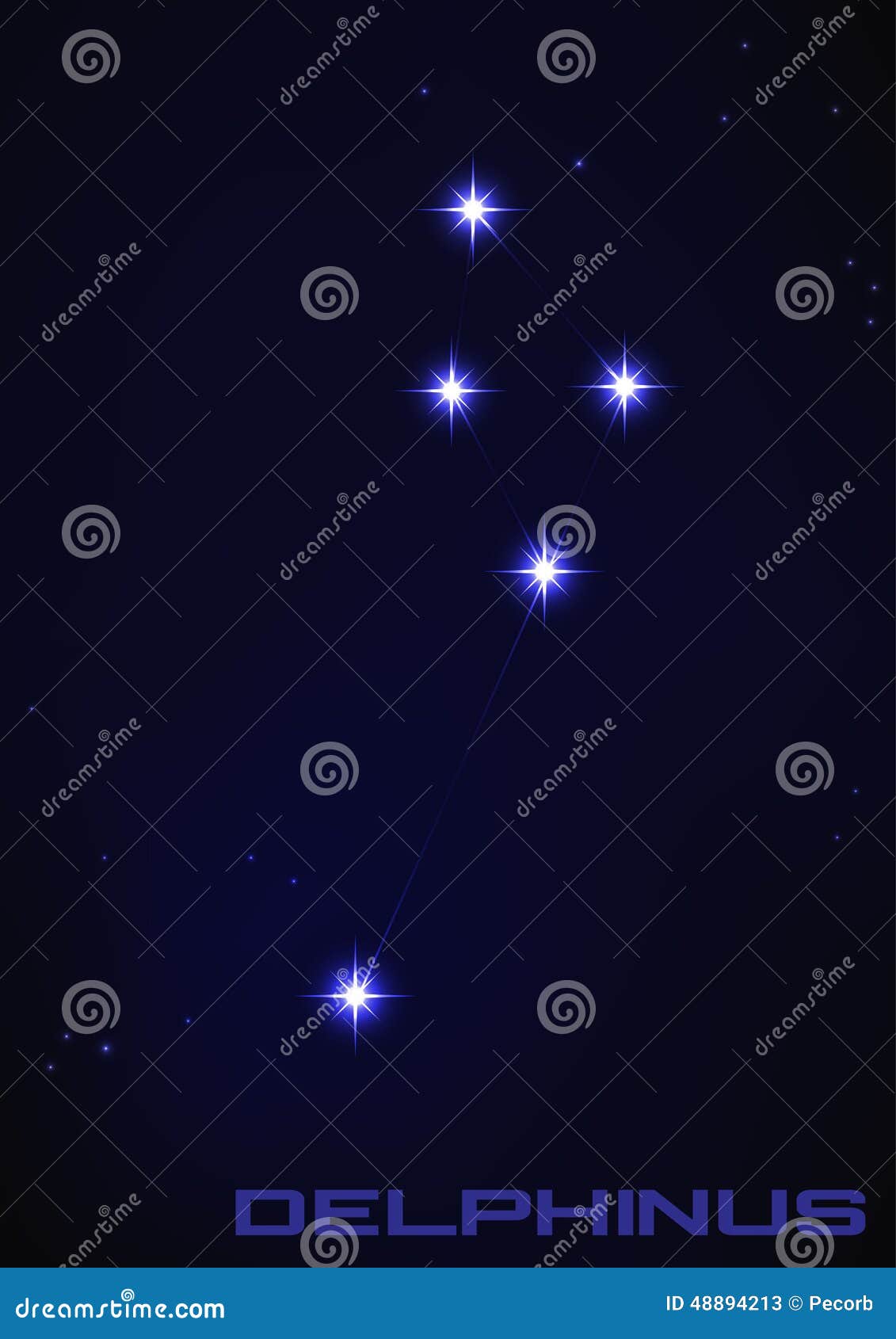 Delphinus constellation stock vector. Illustration of background - 48894213