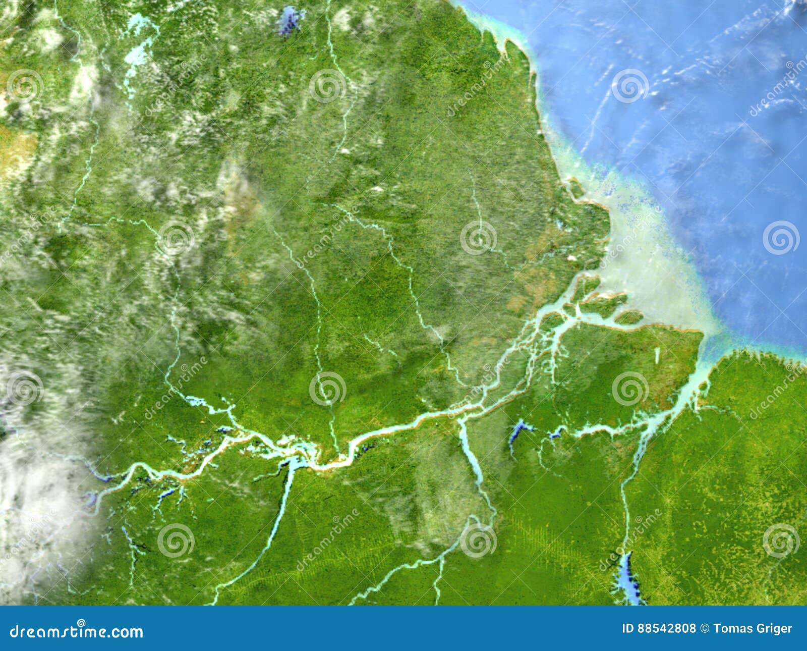 Delta D'Amazone Sur Terre De Planète Illustration Stock - Illustration ...