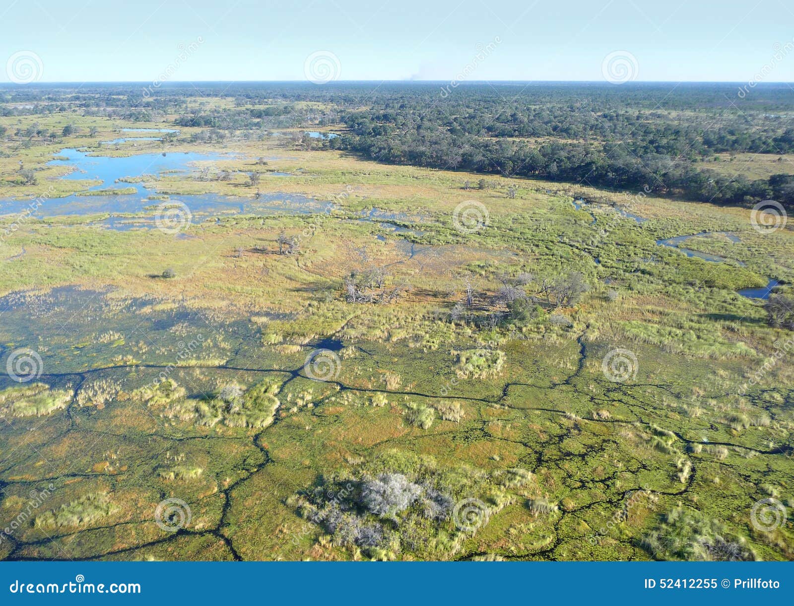 Delta de Okavango imagem de stock. Imagem de botsuana - 52412255