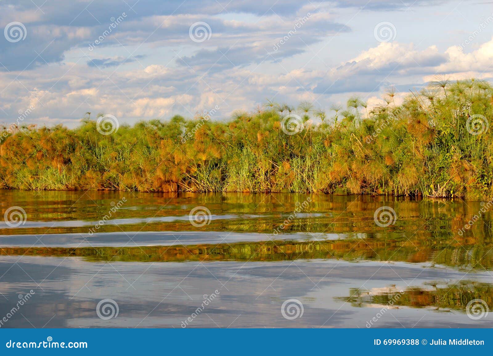 Delta de Okavango foto de archivo. Imagen de agua, cielo - 69969388