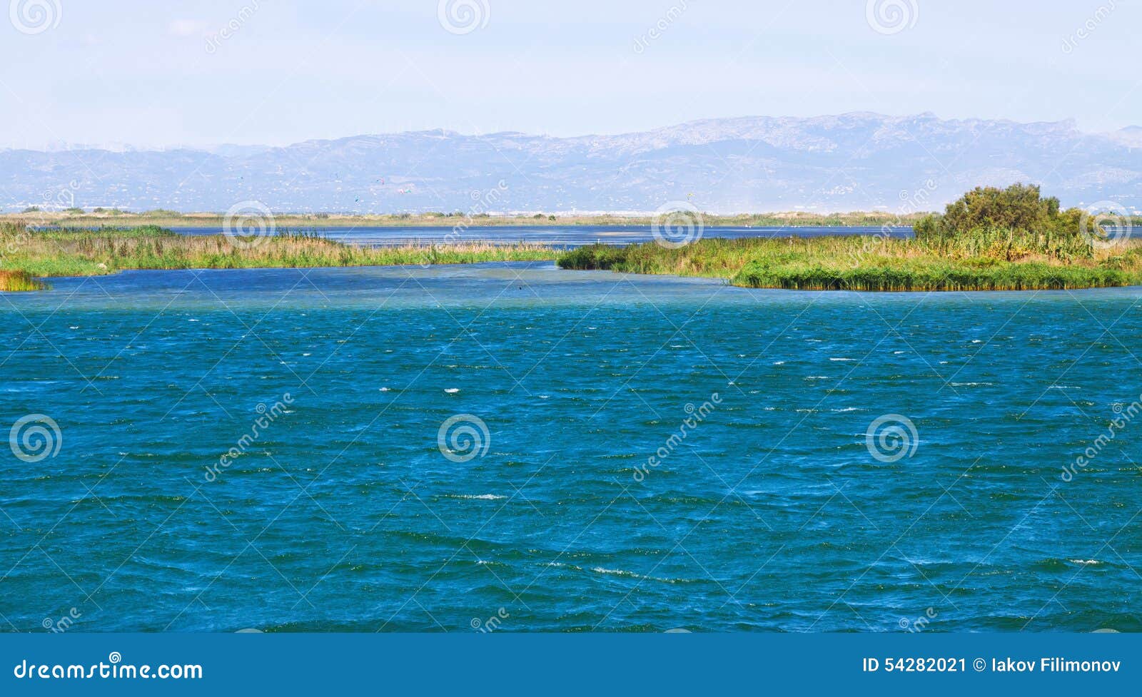 Delta Del Fiume Ebro Di Estate Immagine Stock - Immagine di ebro, fiume ...