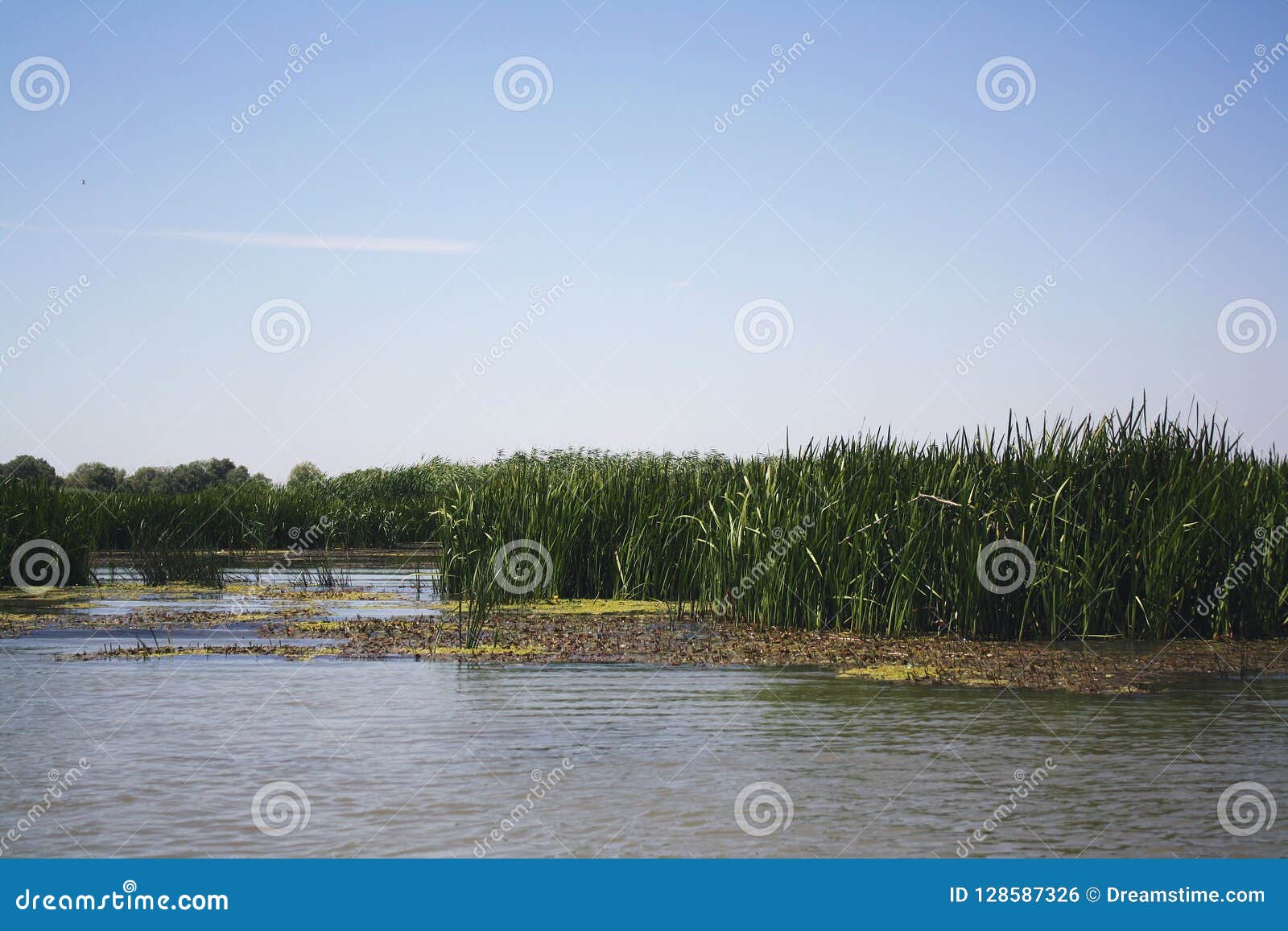 Delta del fiume Volga fotografia stock. Immagine di delta - 128587326