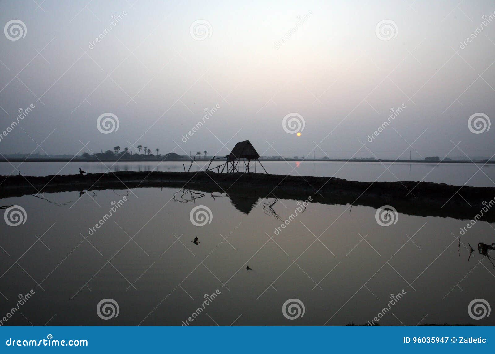 Delta Du Gange Dans Sundarbans, Le Bengale-Occidental, Inde Image stock ...