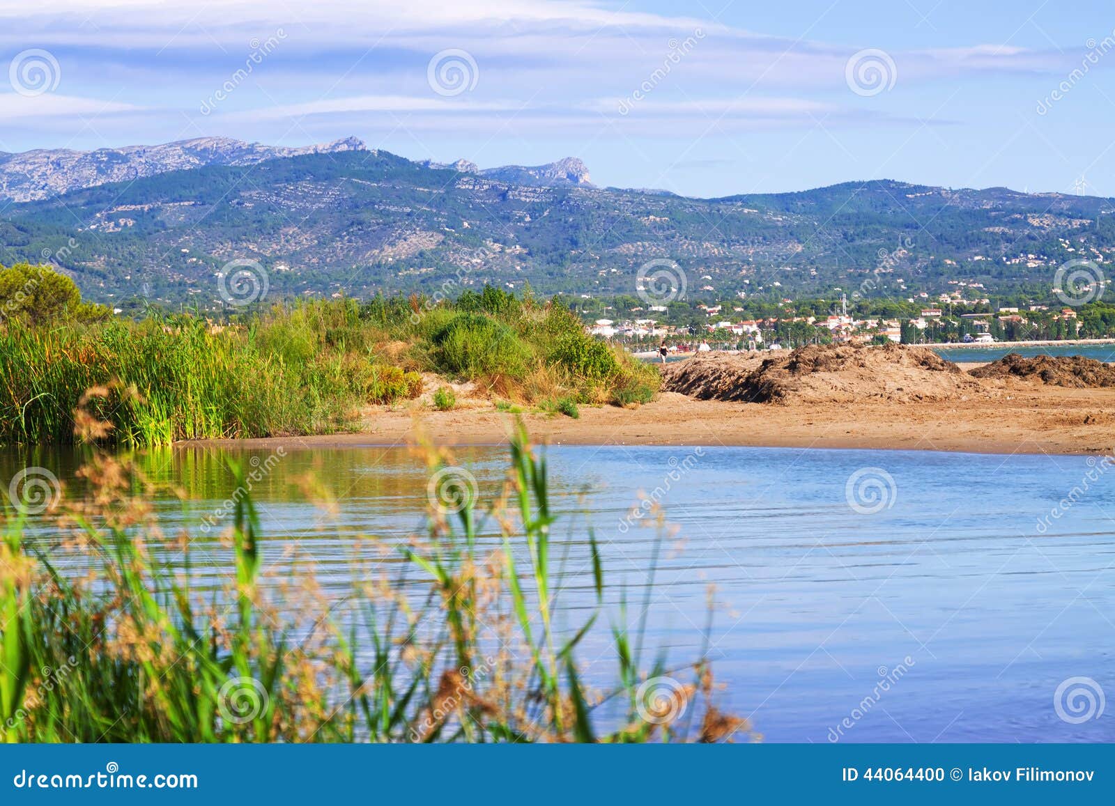 Delta of Ebro in summer stock photo. Image of coast, european - 44064400