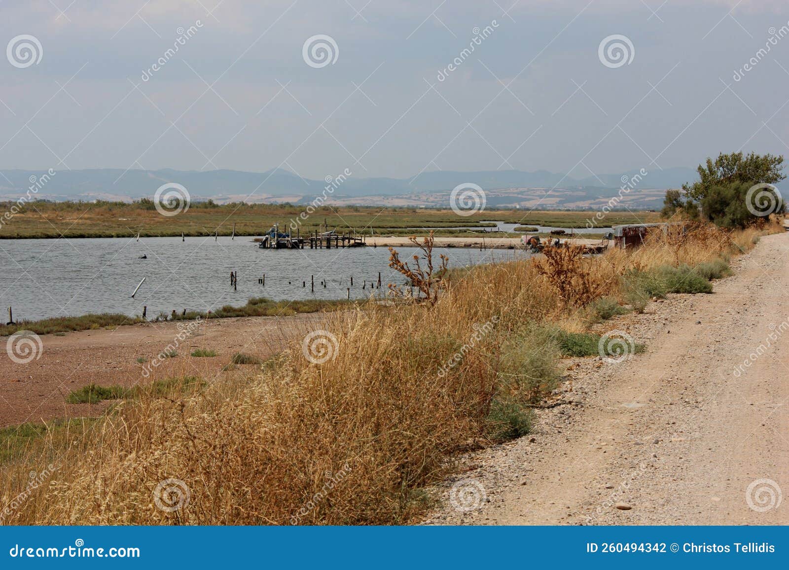 Delta Evros National Park, Evros Thraki Greece Stock Photo - Image of ...