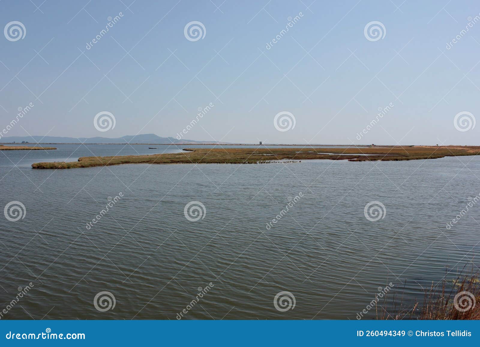 Delta Evros National Park, Evros Thraki Greece Stock Image - Image of ...
