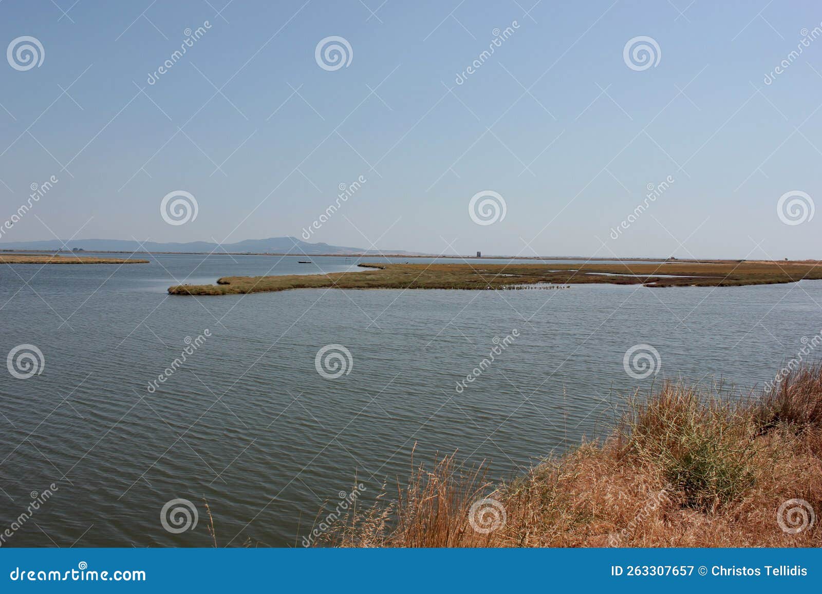 Delta Evros National Park, Evros Greece Stock Image - Image of global ...
