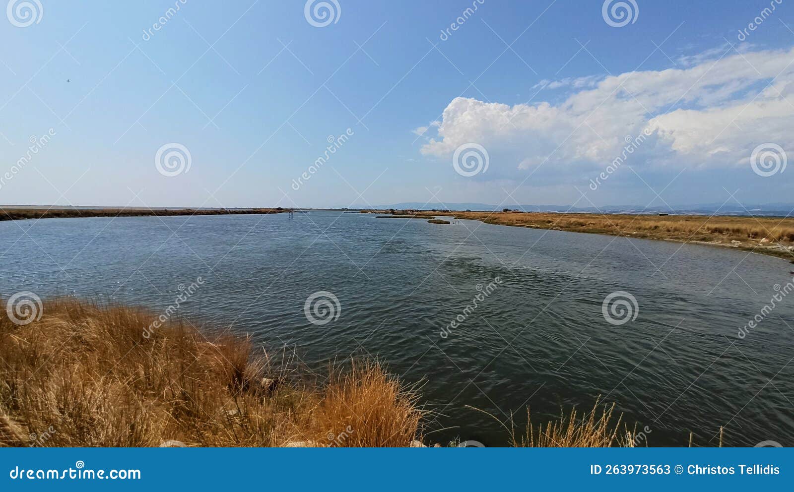 Delta Evros National Park, Evros Thraki Stock Image - Image of greek ...