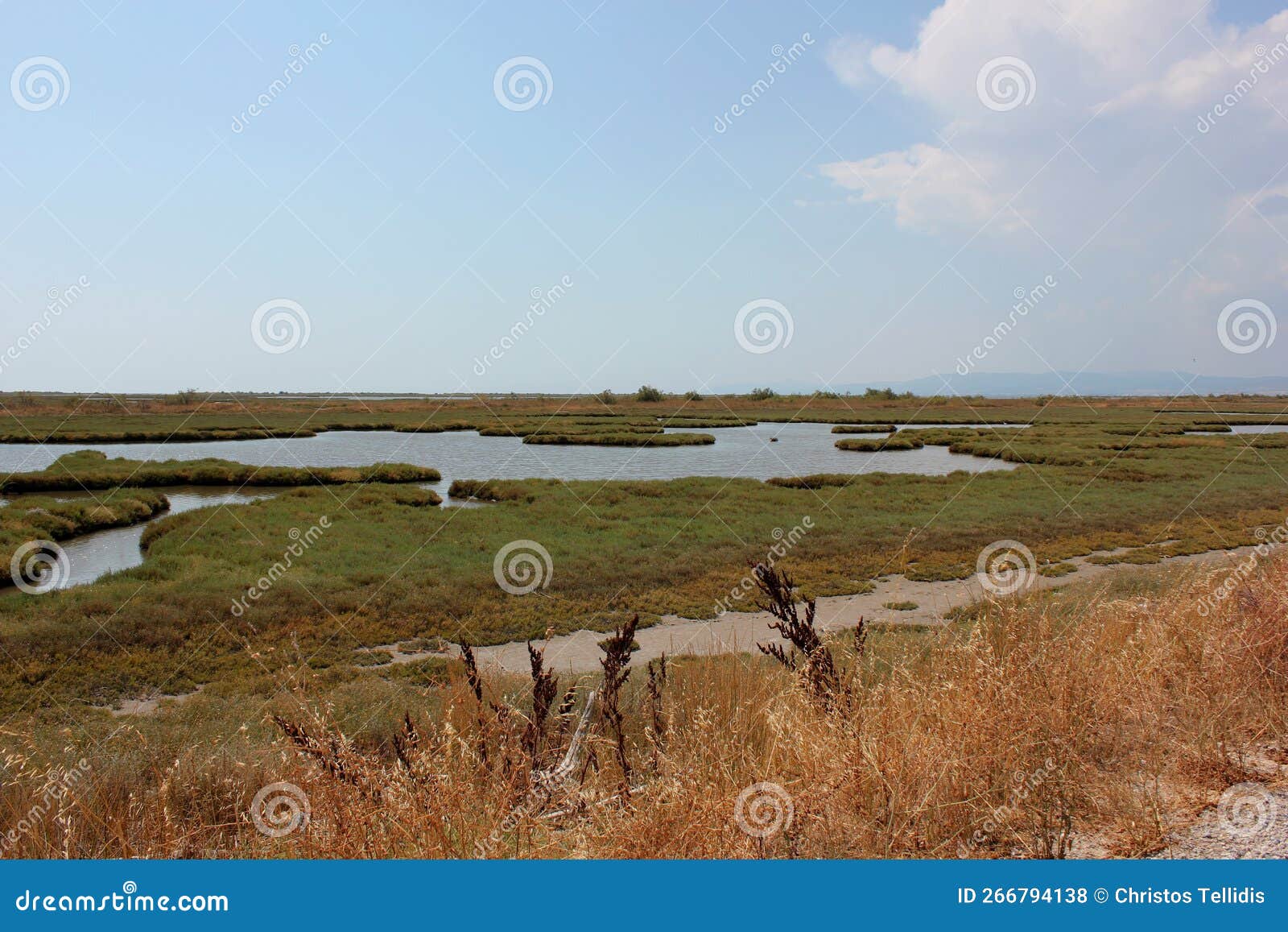 Delta Evros National Park, Evros Thraki Stock Photo - Image of xanthi ...