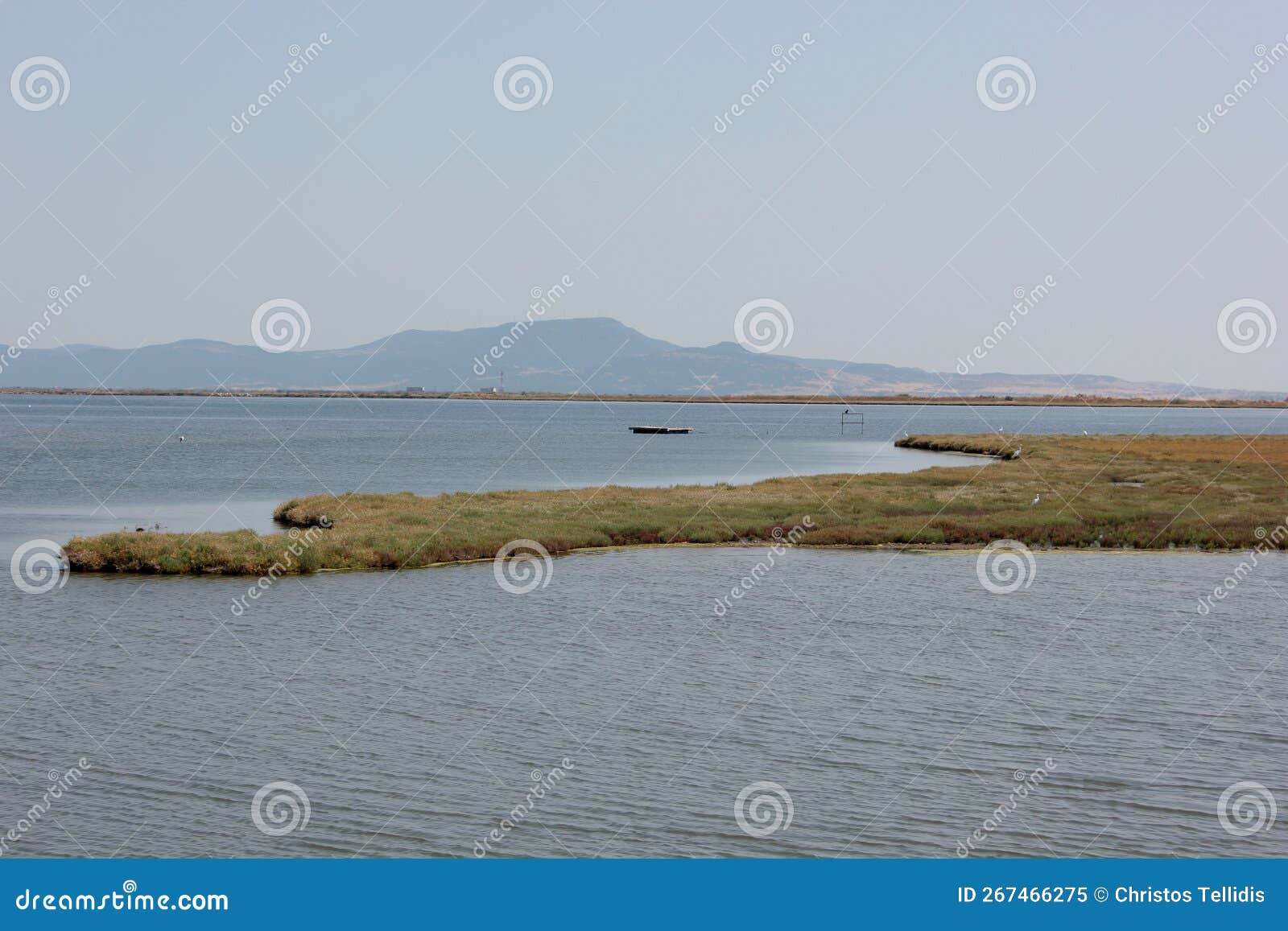 Delta Evros National Park, Evros Thraki Stock Image - Image of ...