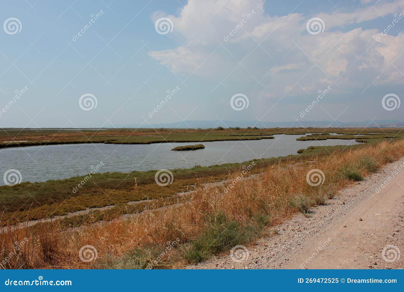 Delta Evros National Park, Evros Thraki Stock Image - Image of kavala ...
