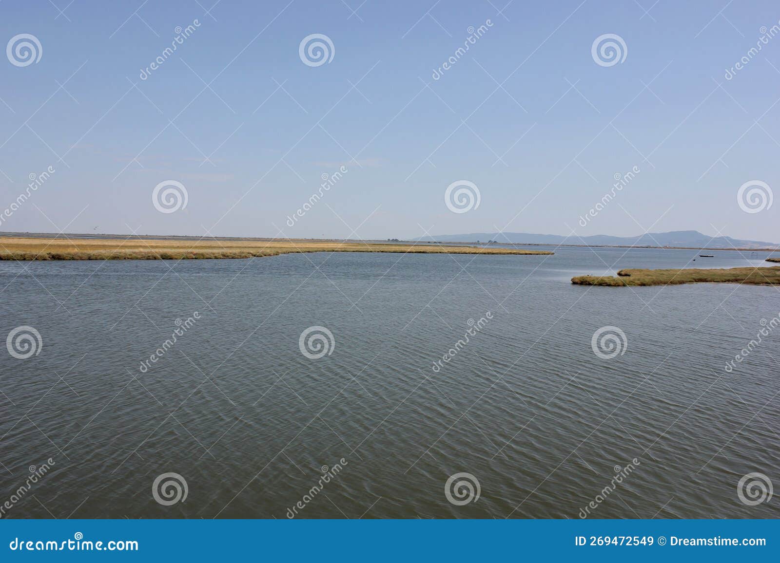 Delta Evros National Park, Evros Thraki Stock Image - Image of national ...