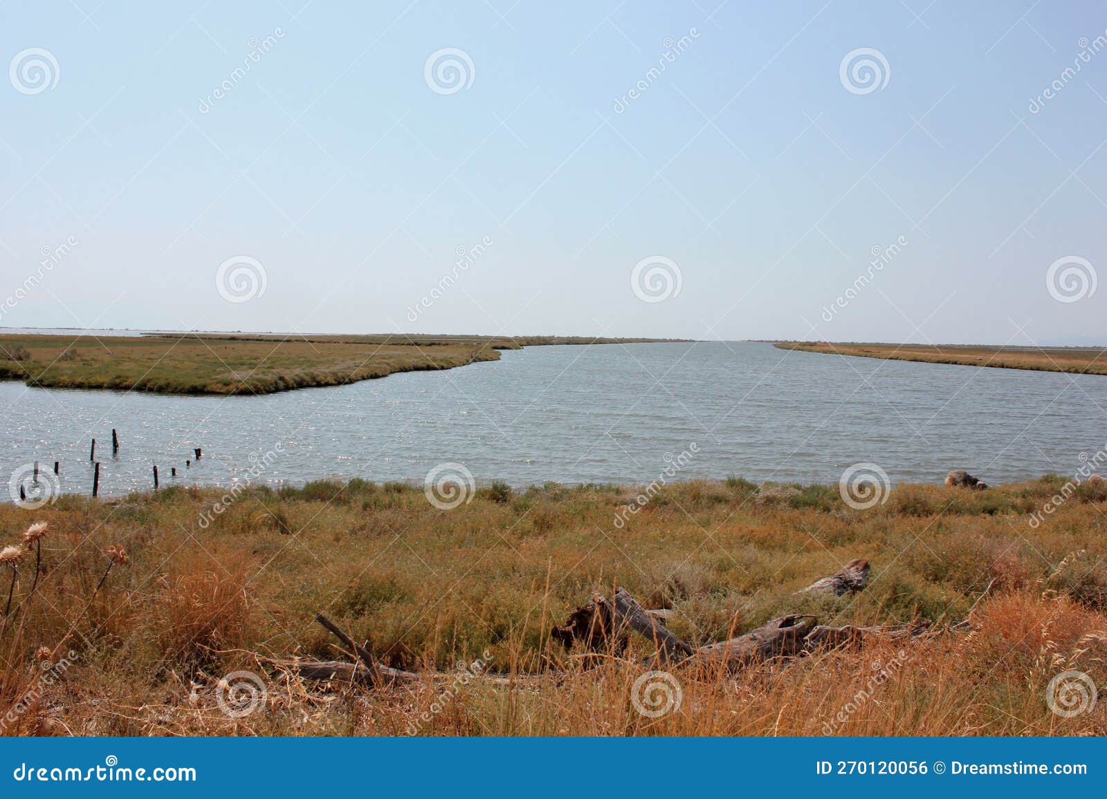 Delta Evros National Park, Evros Thraki Stock Photo - Image of calm ...