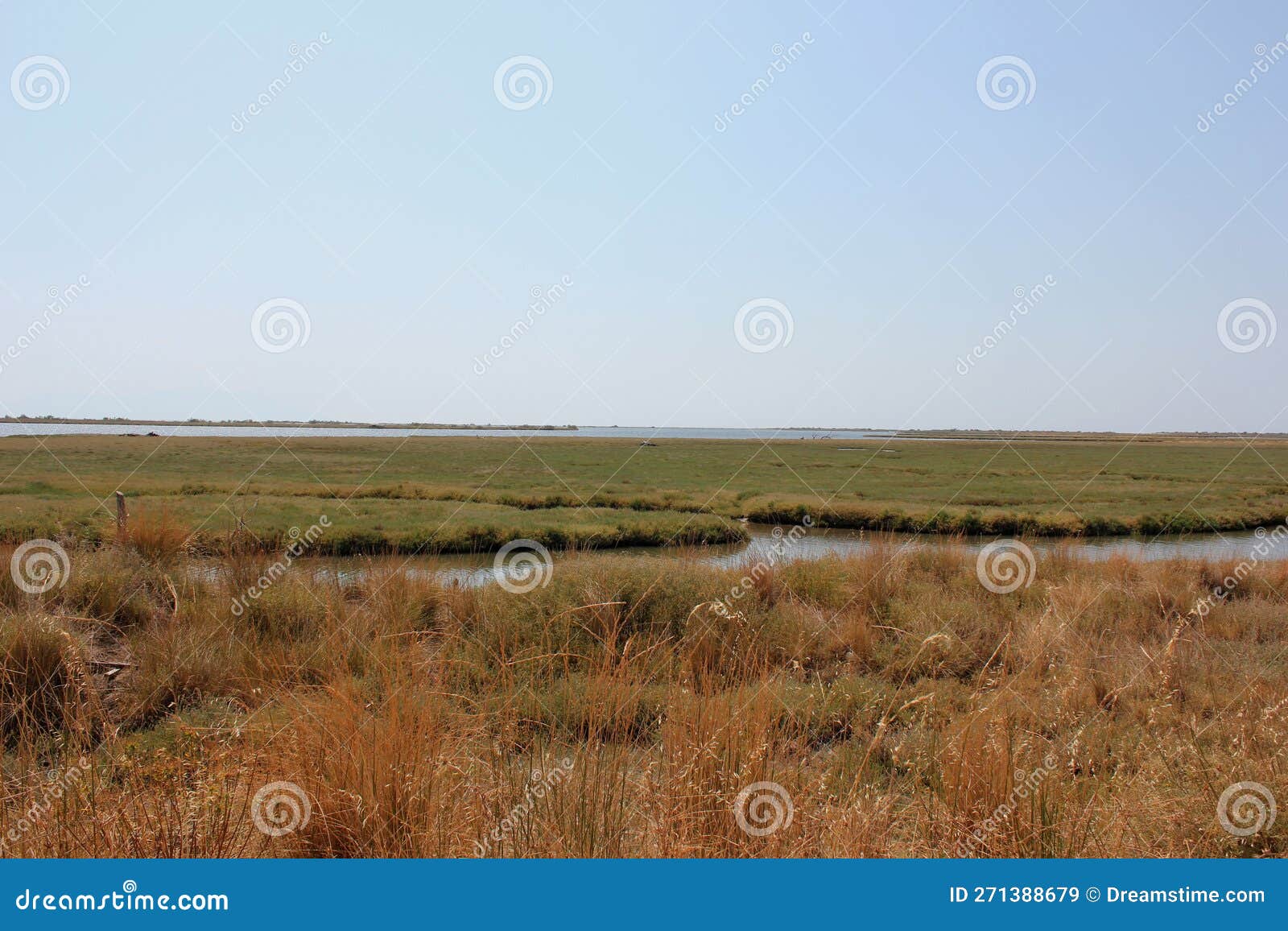 Delta Evros National Park, Evros Thraki Stock Image - Image of global ...