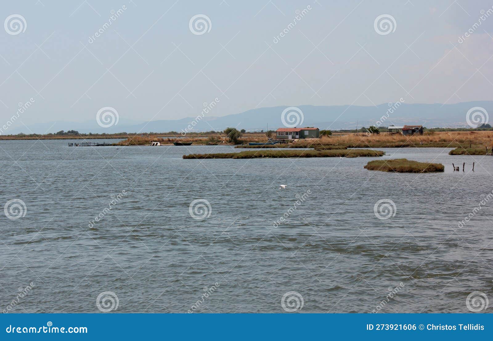 Delta Evros National Park, Evros Thraki Stock Photo - Image of ...