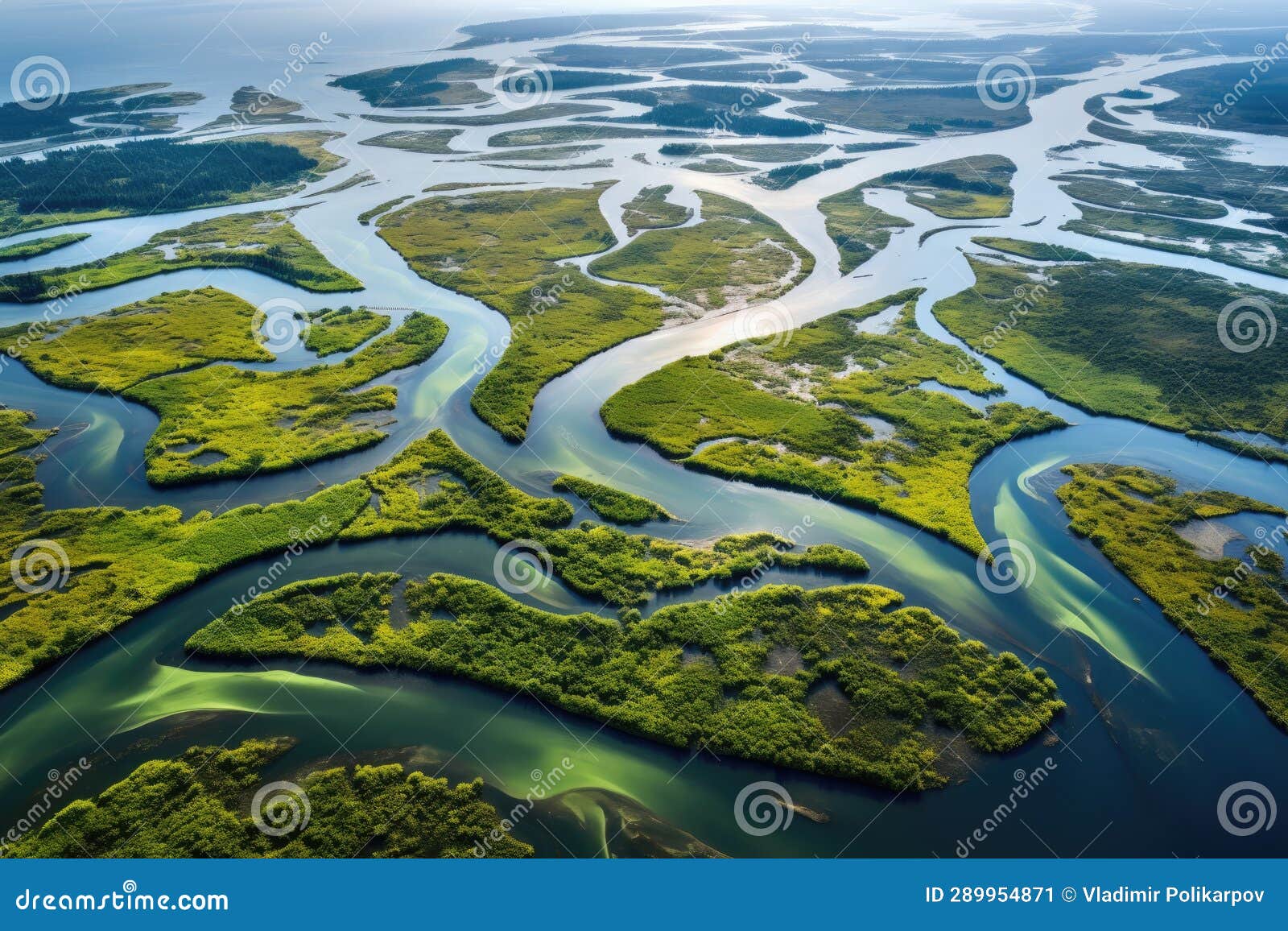 The Delta of the River from a Height Stock Image - Image of trees ...