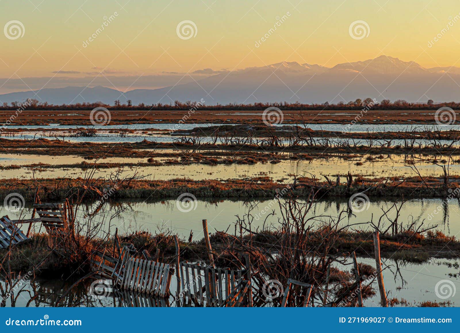 Delta river by sunset stock image. Image of scenery - 271969027