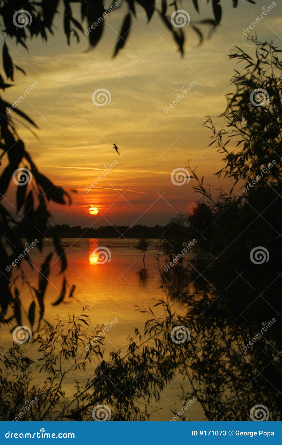 Delta sunset stock image. Image of sunlight, environment - 9171073