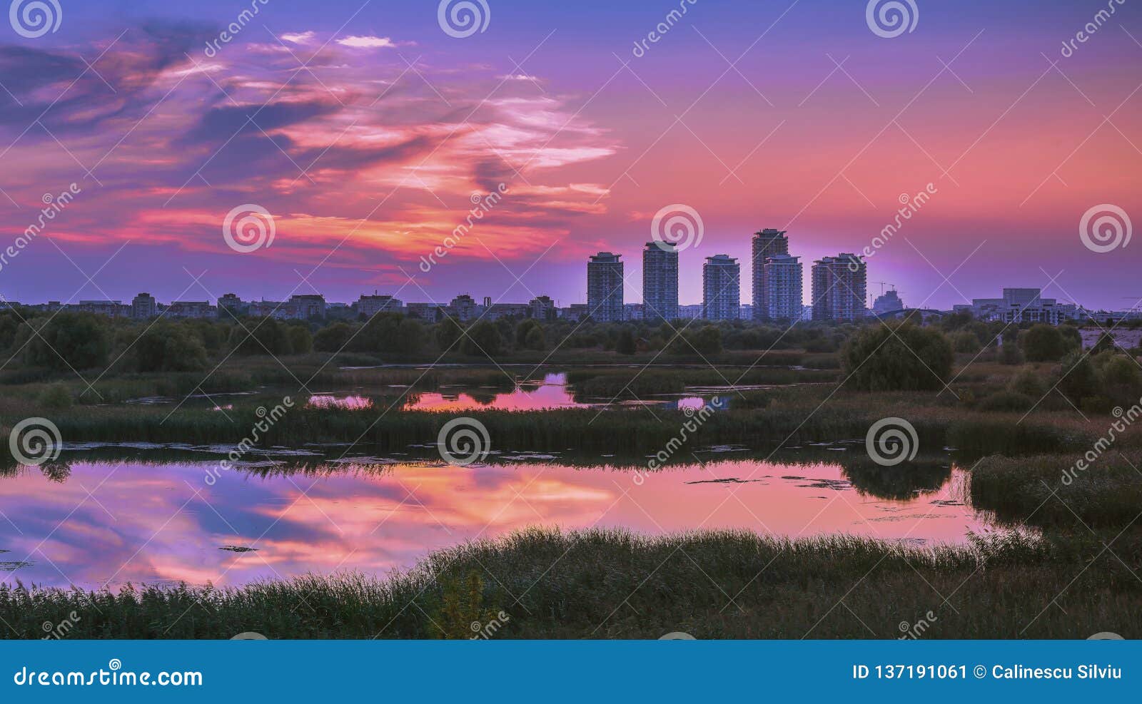Delta Vacaresti from Bucharest,panorama View Stock Image - Image of ...