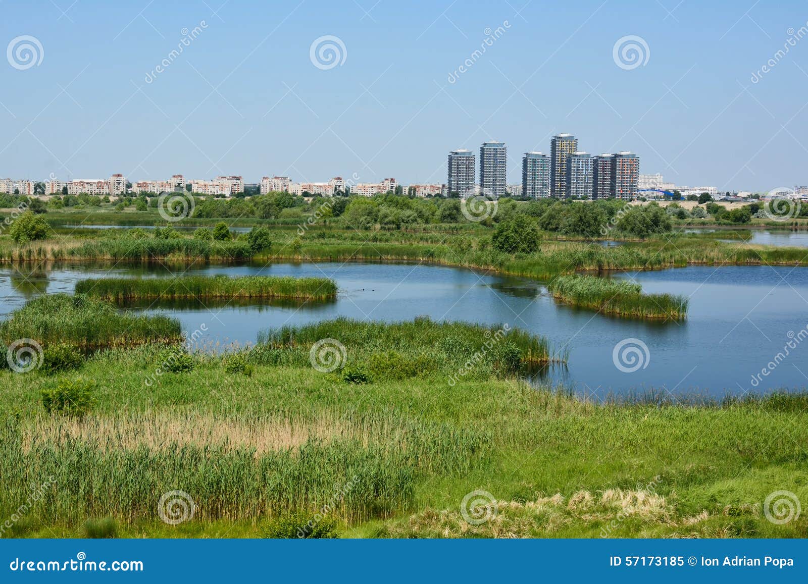 Delta Vacaresti in Bucharest, Romania Stock Image - Image of reed ...
